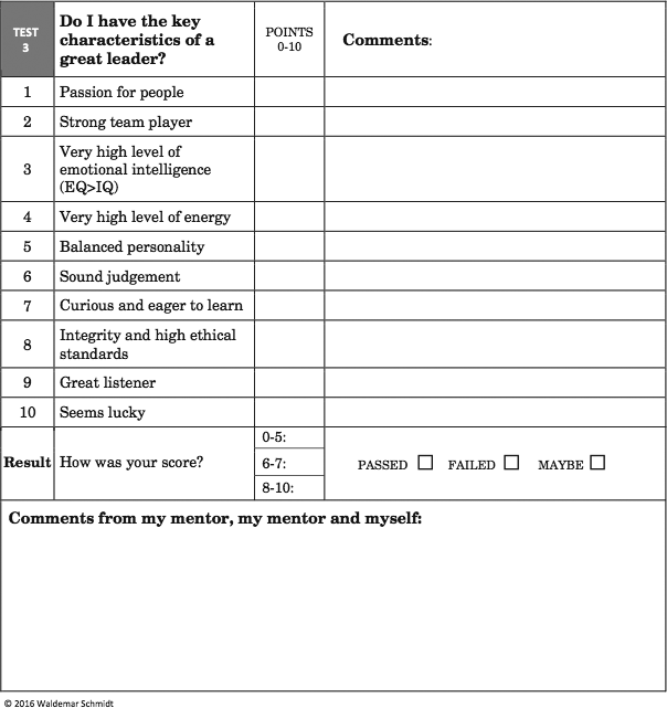 The Job of the CEO – Free Sample Chapter – Editora Val De Mar