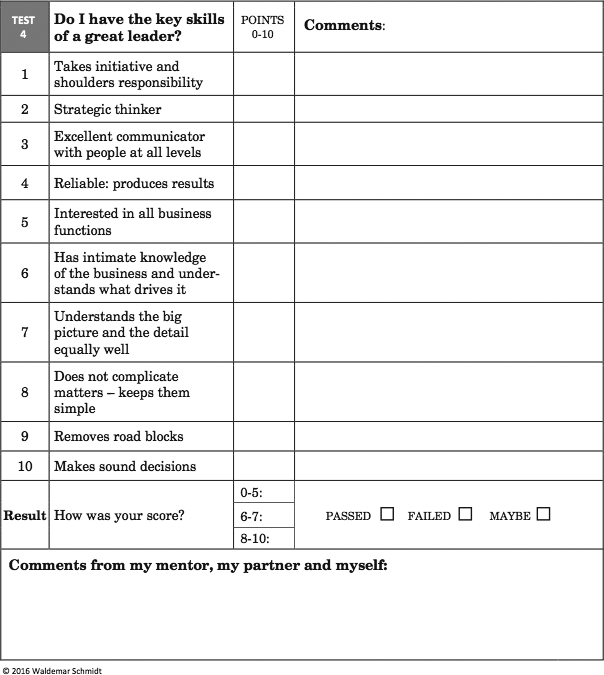 The Job of the CEO – Free Sample Chapter – Editora Val De Mar