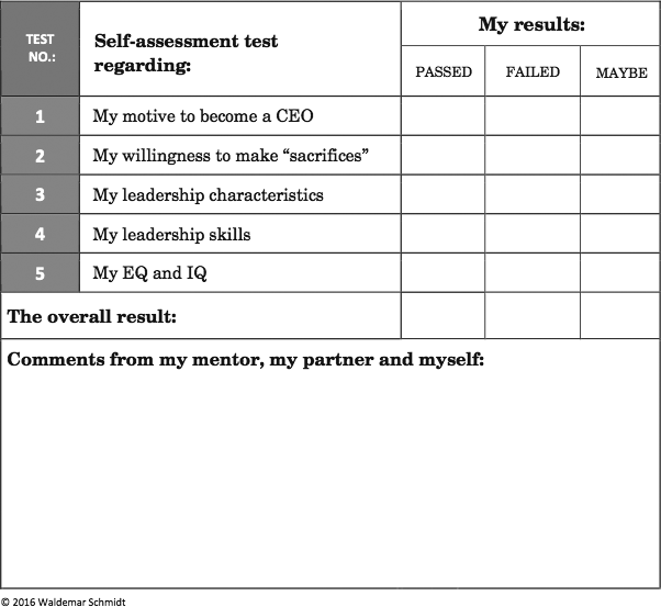 The Job of the CEO – Free Sample Chapter – Editora Val De Mar